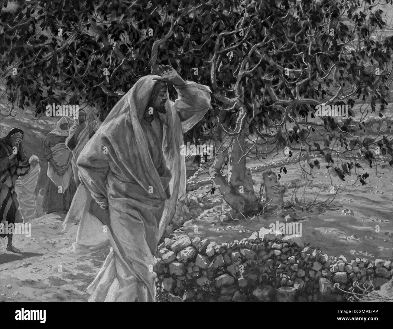 Tissot the accursed fig tree Black and White Stock Photos & Images - Alamy