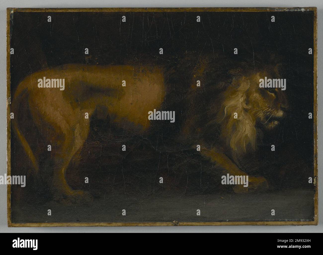 Study of a Lion (or a Lion) Théodore Géricault (French, 1791-1829 ...