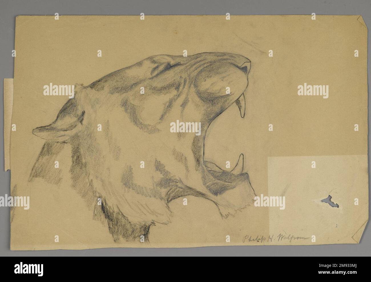 Bison 9 hi-res stock photography and images - Alamy