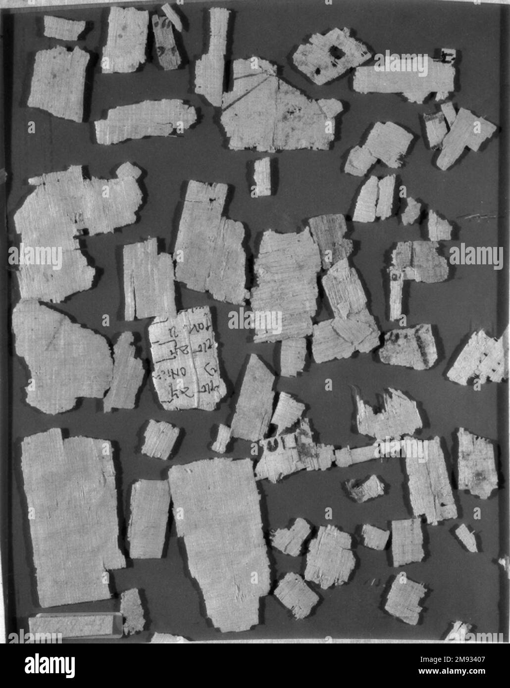 Papyrus Fragments Inscribed in Demotic and Greek Papyrus Fragments ...