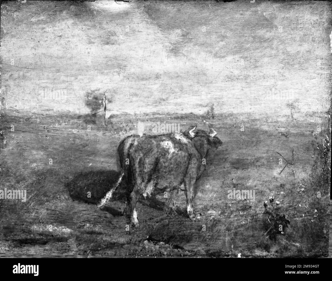 16 9 19 5 cm Black and White Stock Photos & Images - Alamy