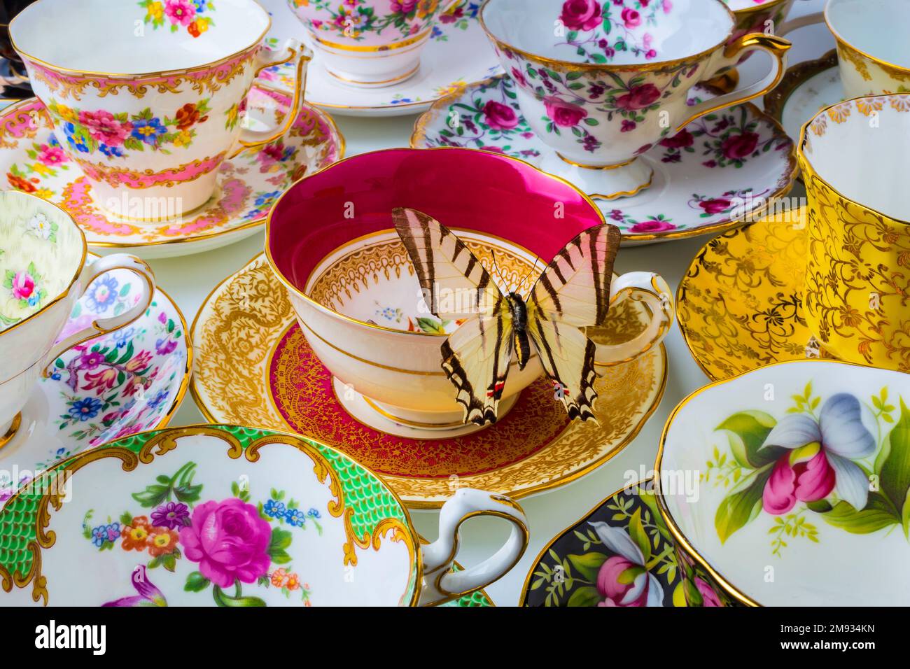 Butterfly cups hi-res stock photography and images - Alamy