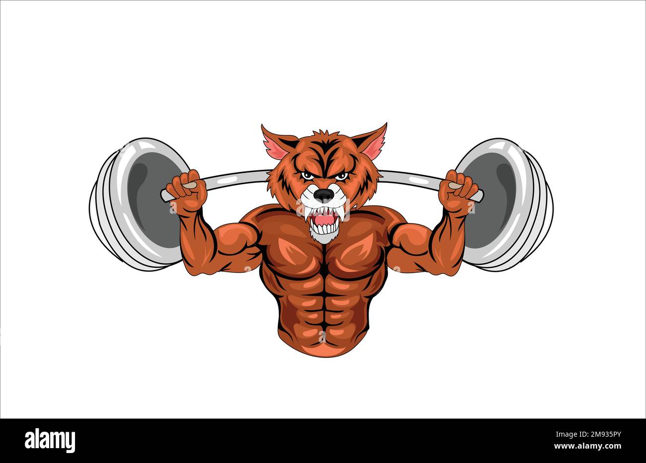 Tiger bodybuilder illustration hi-res stock photography and images - Alamy