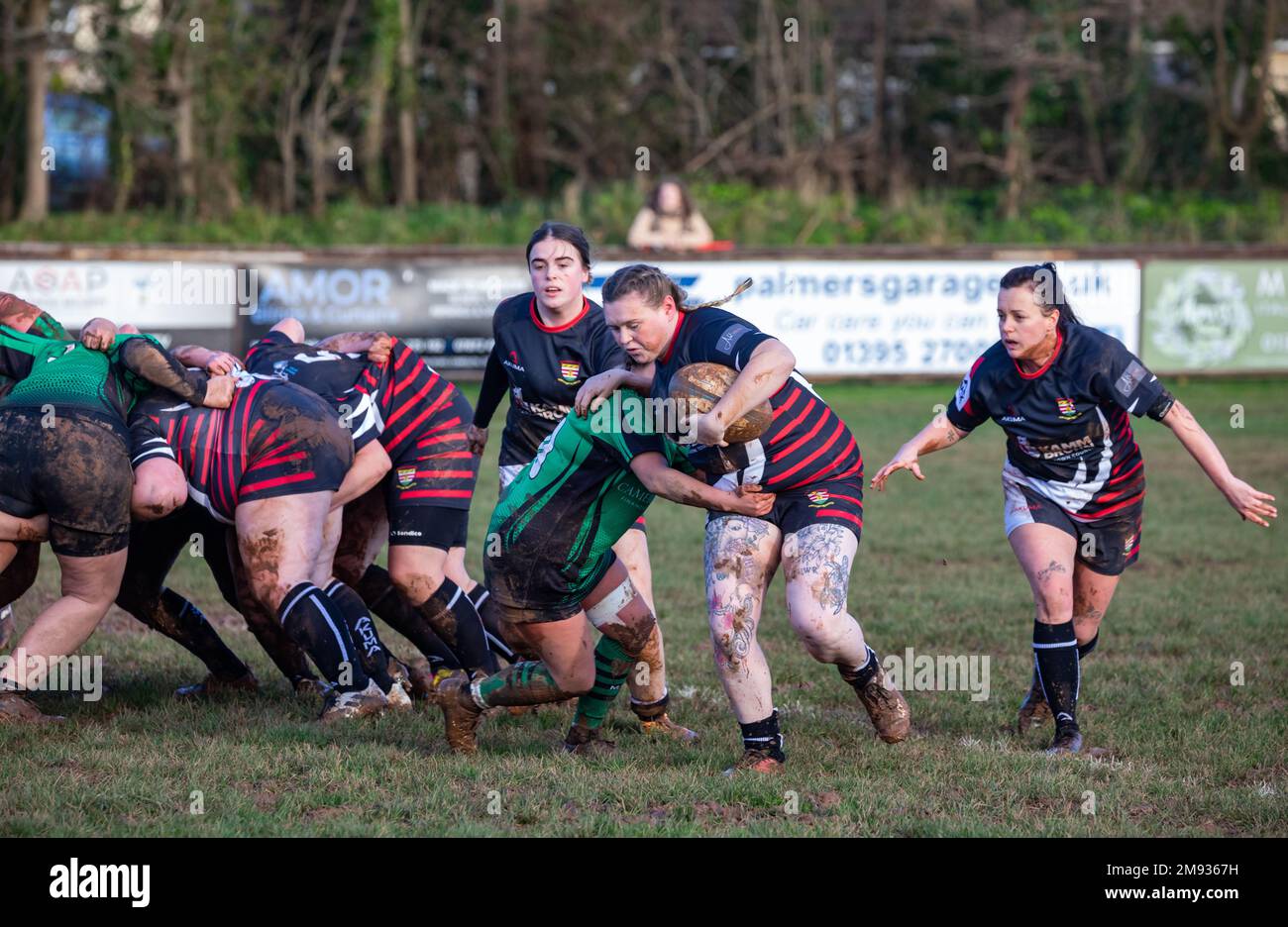 Withycombe rfc hi-res stock photography and images - Alamy