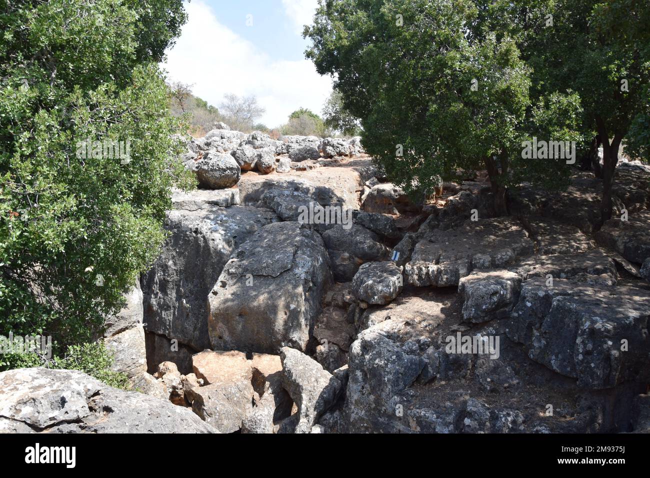 Yiftah Fissures Nature Reserve in Israel Stock Photo - Alamy