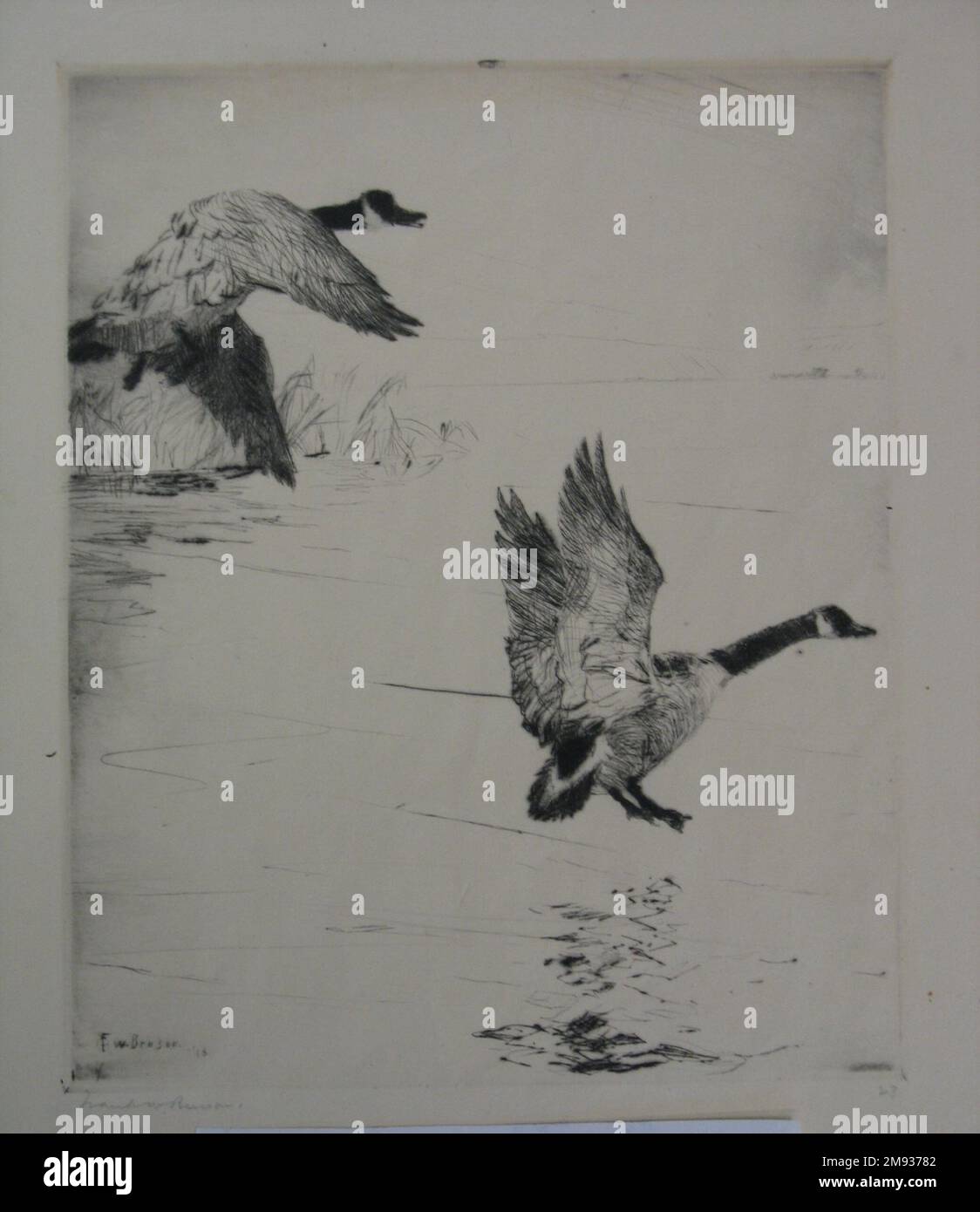 Etching and drypoint on thick hi-res stock photography and images - Alamy