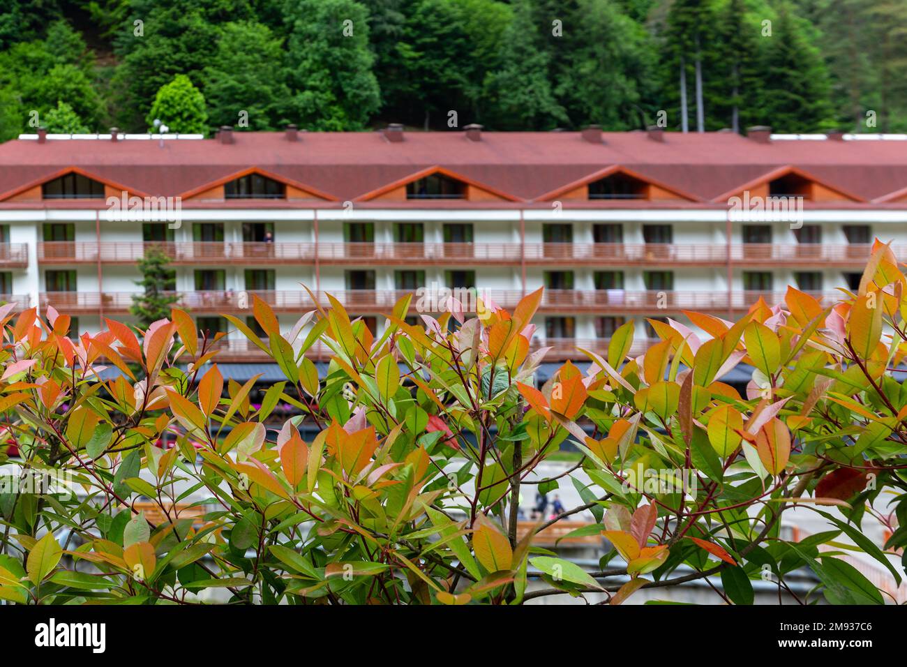 Sairme, Georgia, 06.06.21. Hotel Sairme (sanatorium) building in health ...