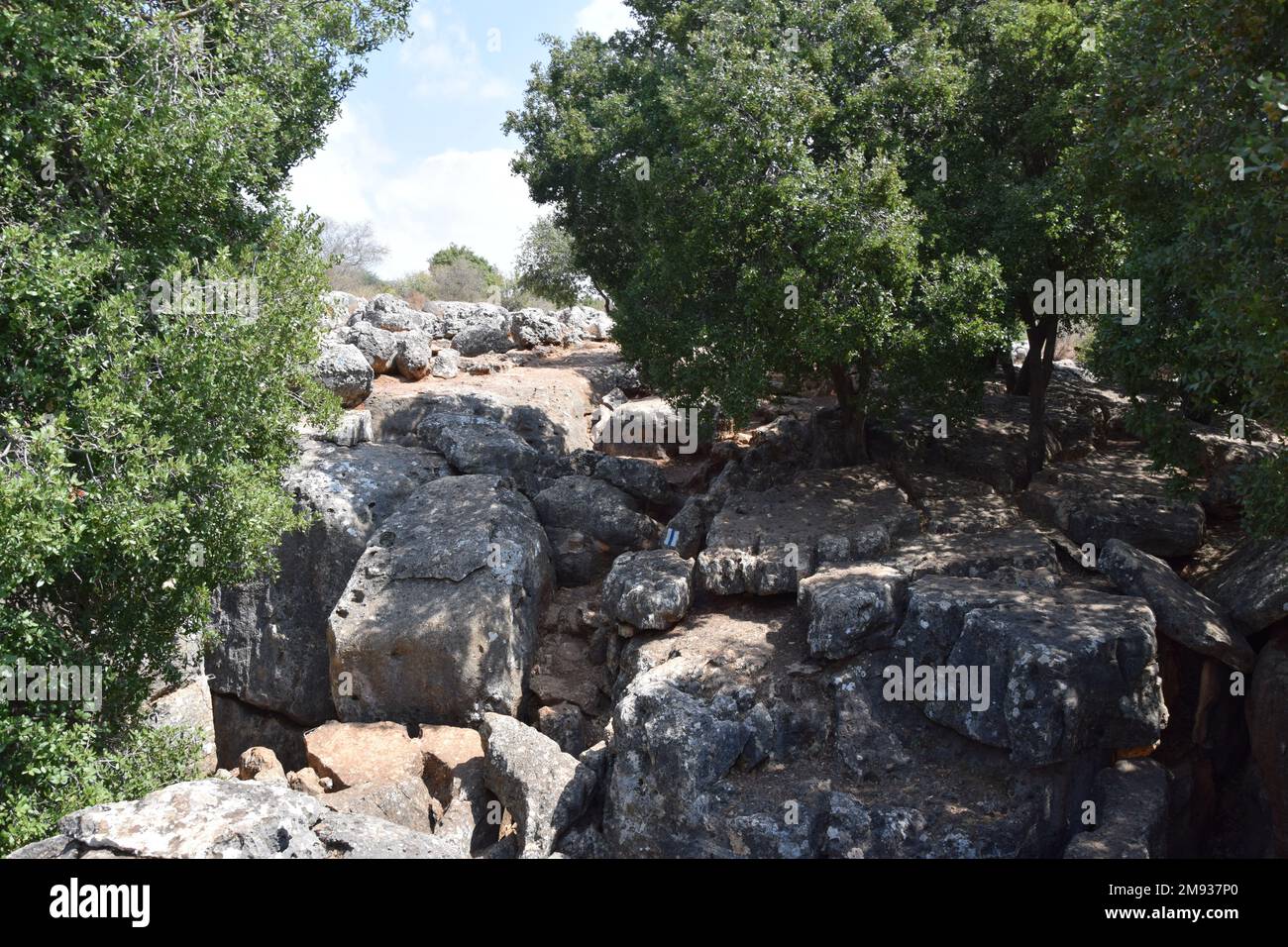 Yiftah Fissures Nature Reserve in Israel Stock Photo - Alamy