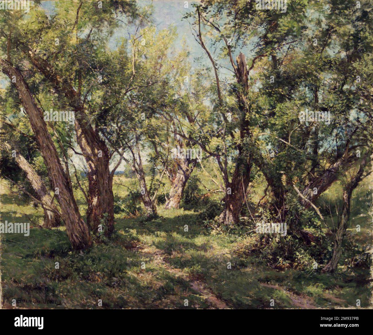 The Willows Hugh Bolton Jones (American, 1848-1927). The Willows, ca ...