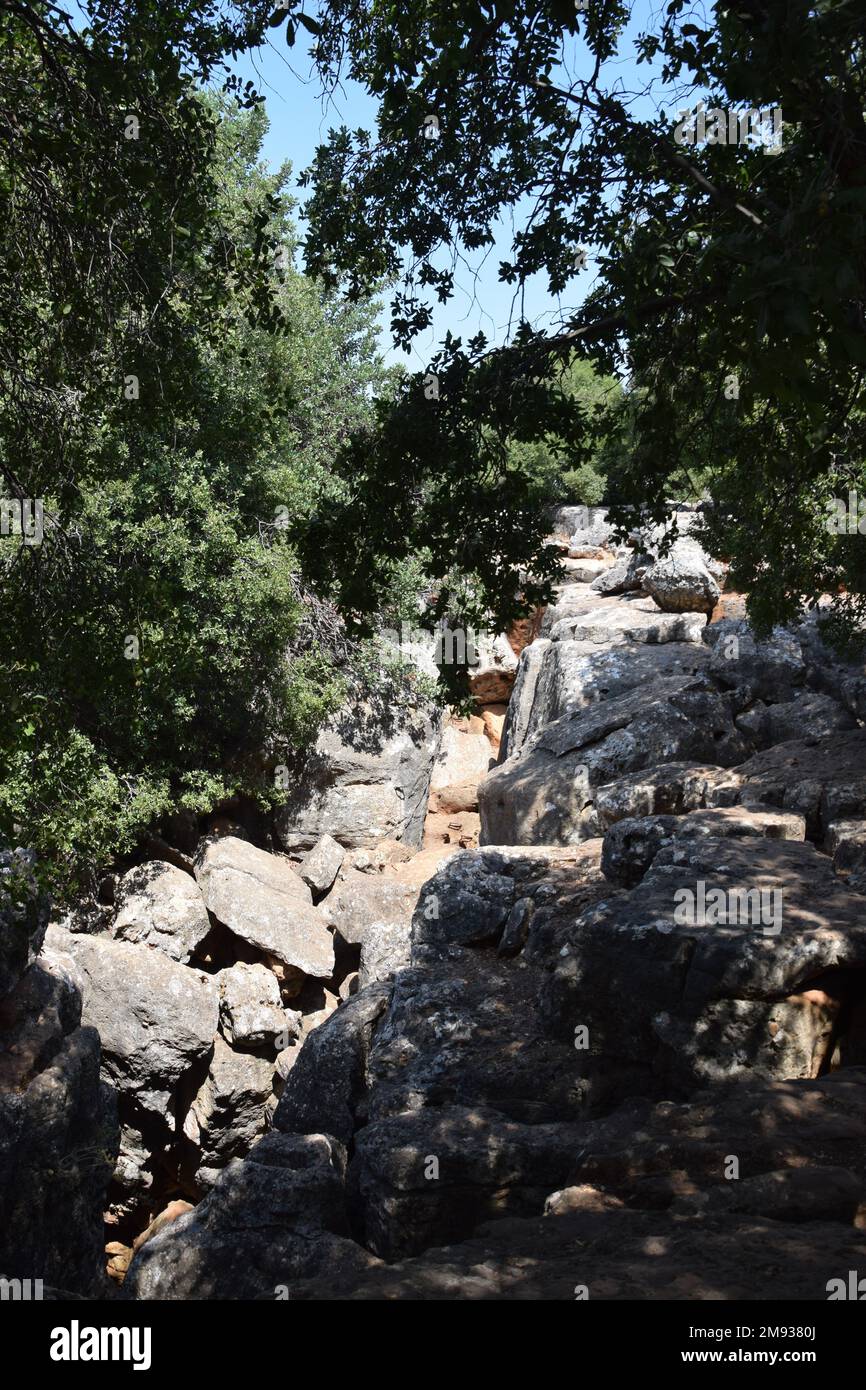 Yiftah Fissures Nature Reserve in Israel Stock Photo - Alamy