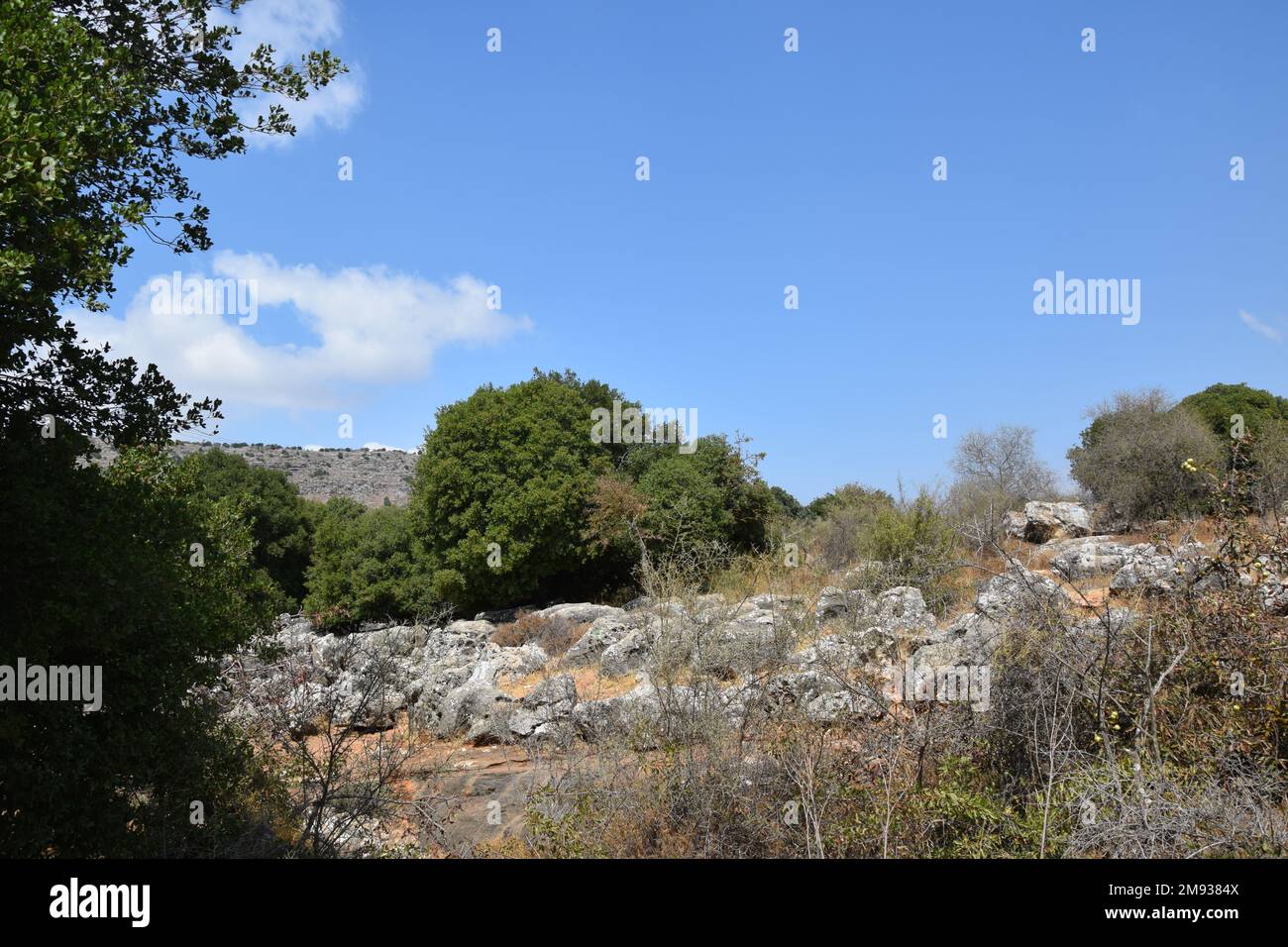 Yiftah Fissures Nature Reserve in Israel Stock Photo - Alamy