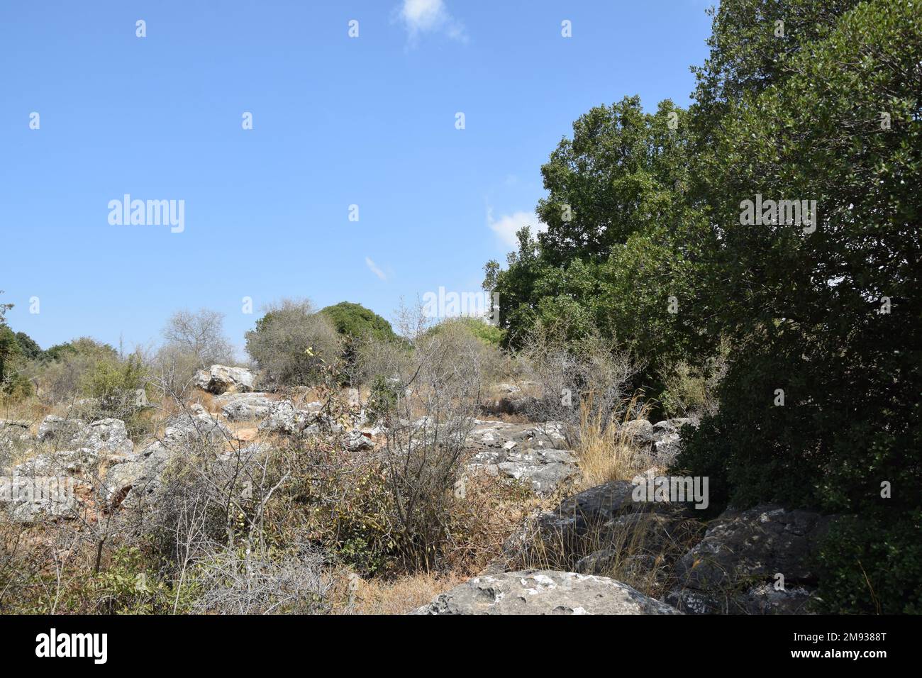 Yiftah Fissures Nature Reserve in Israel Stock Photo - Alamy