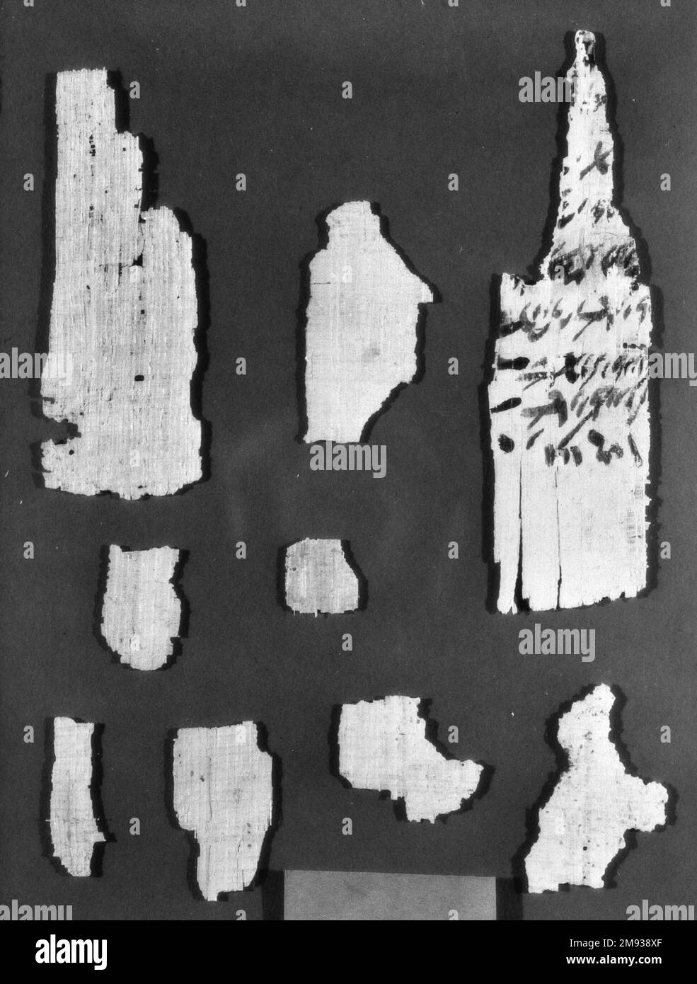 Papyrus Fragments Inscribed in Hieratic and Demotic Papyrus Fragments ...