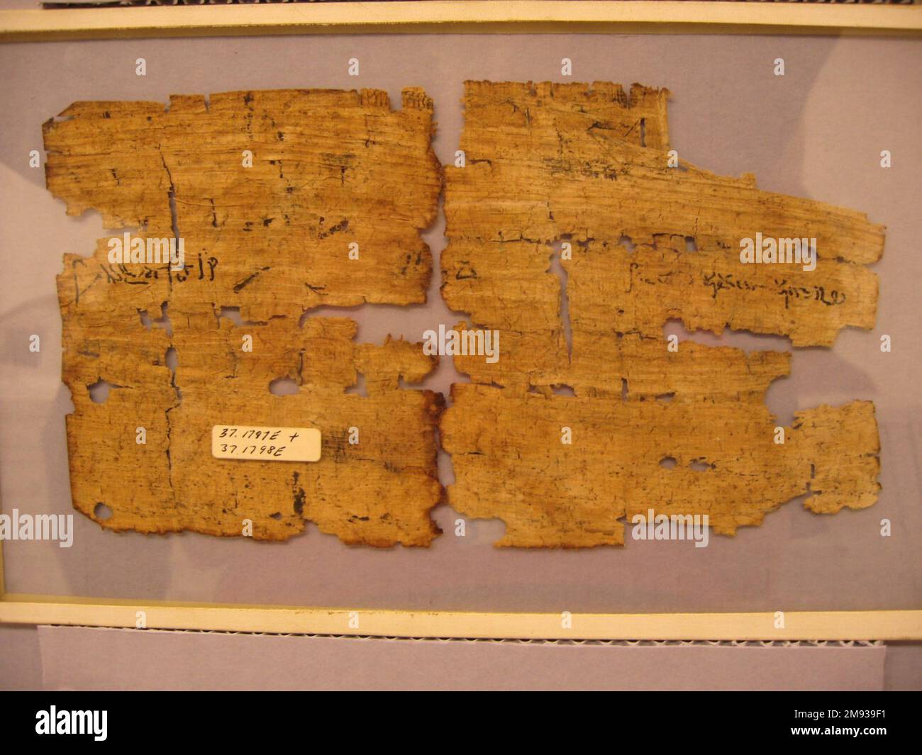 Papyrus Fragments Inscribed in Demotic Papyrus Fragments Inscribed in ...