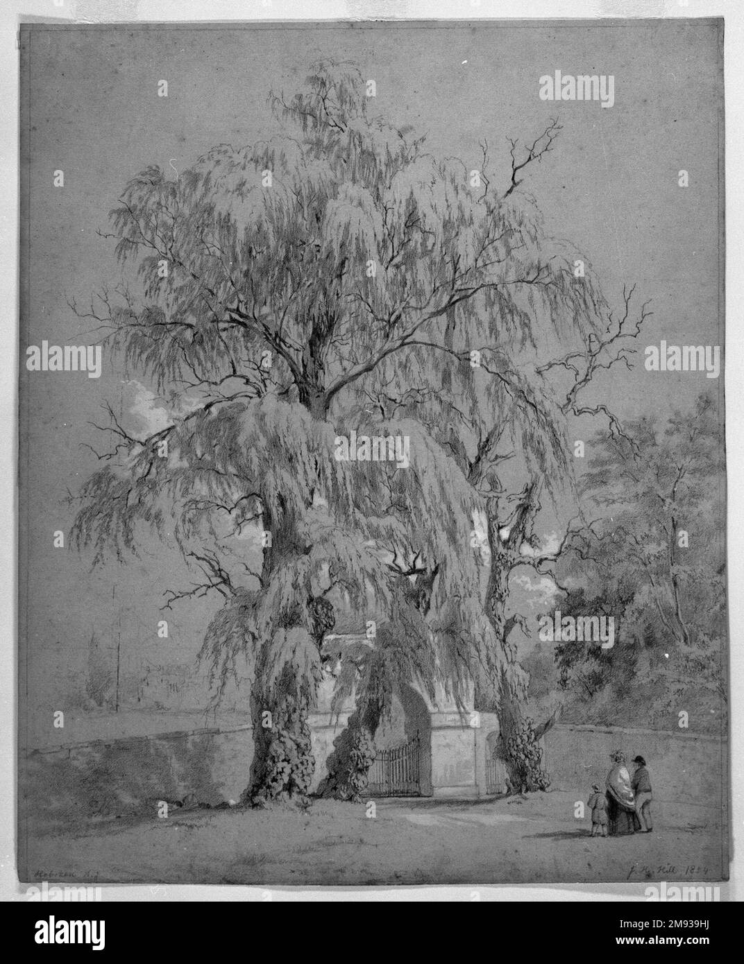 9 x 11 8 cm Black and White Stock Photos & Images - Alamy