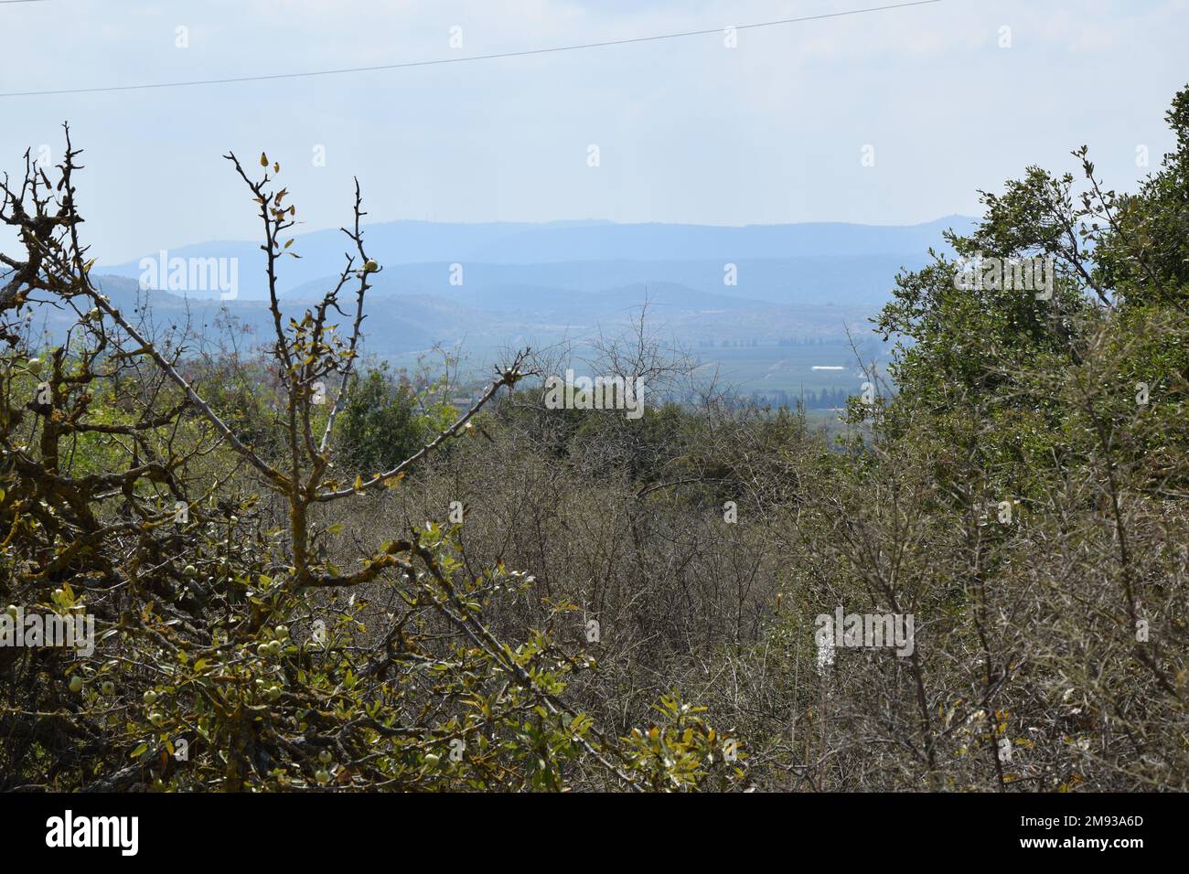 Yiftah Fissures Nature Reserve in Israel Stock Photo - Alamy