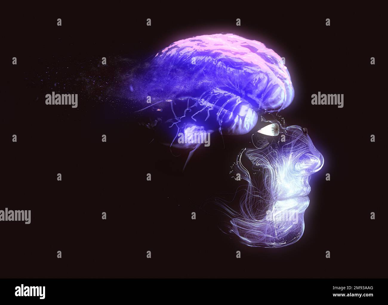 Memory lapses, forgetting things, degenerative disease. Brain problems ...