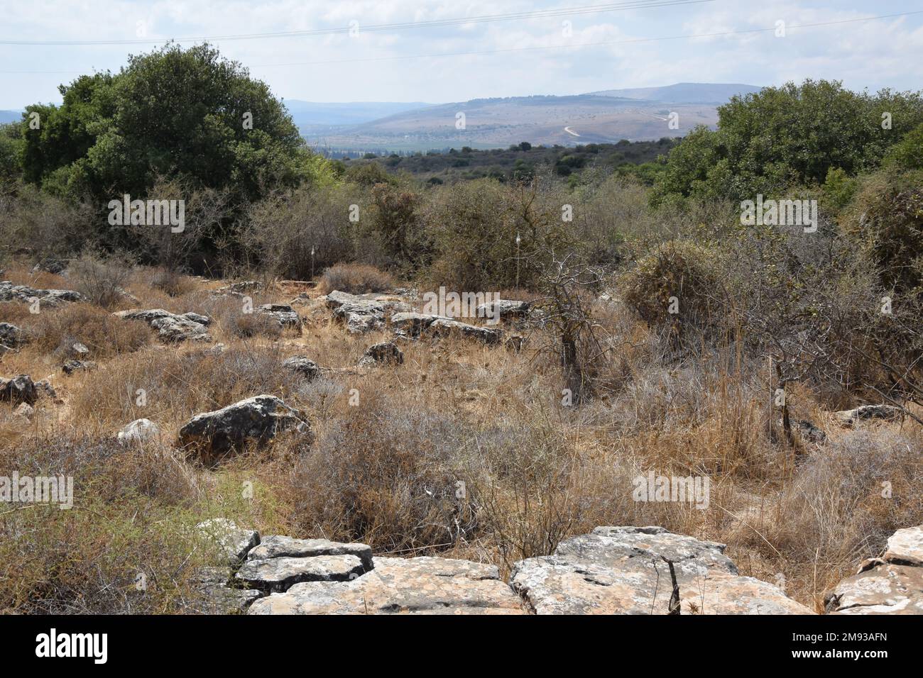 Yiftah Fissures Nature Reserve in Israel Stock Photo - Alamy