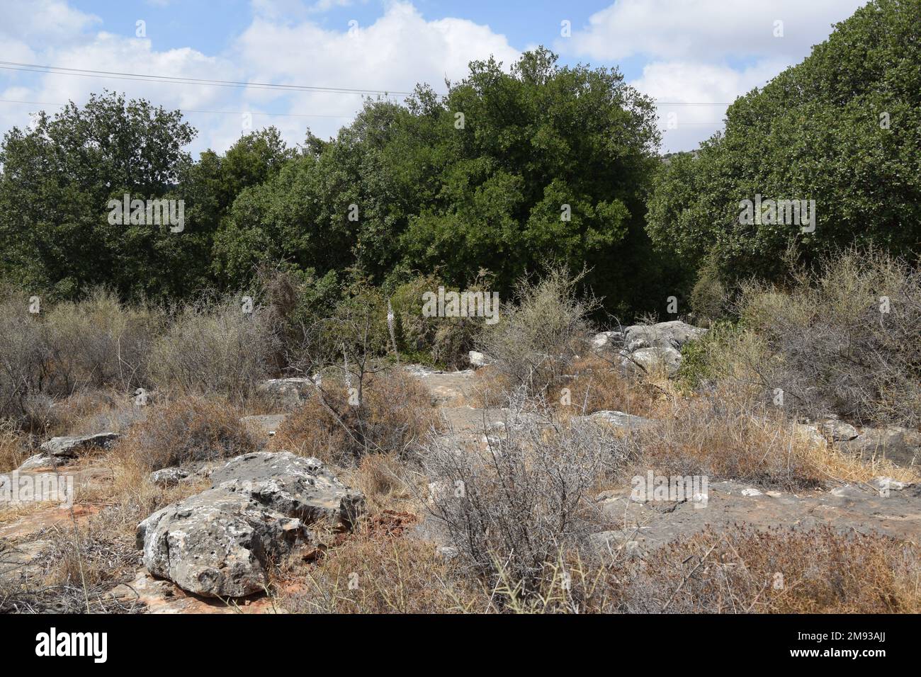 Yiftah Fissures Nature Reserve in Israel Stock Photo - Alamy