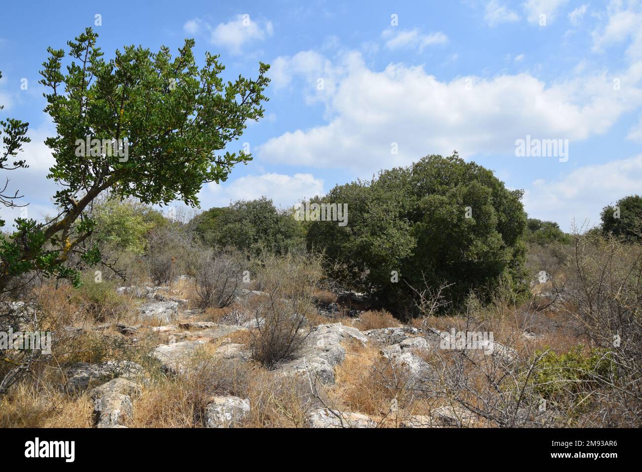 Yiftah Fissures Nature Reserve in Israel Stock Photo - Alamy