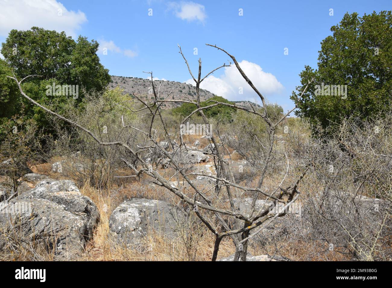 Yiftah Fissures Nature Reserve in Israel Stock Photo - Alamy