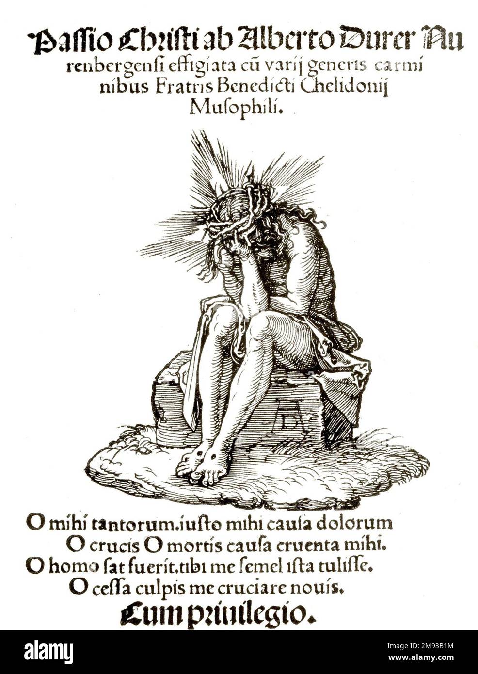 6 8 x 16 8 cm Cut Out Stock Images & Pictures - Alamy