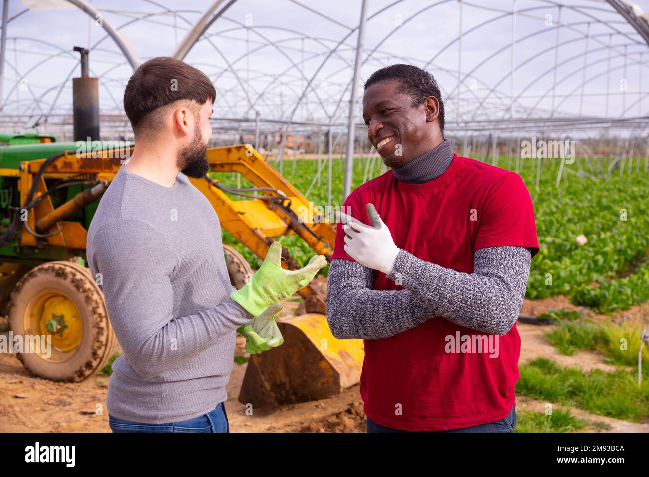 Two farmers talking discussion hi-res stock photography and images - Alamy