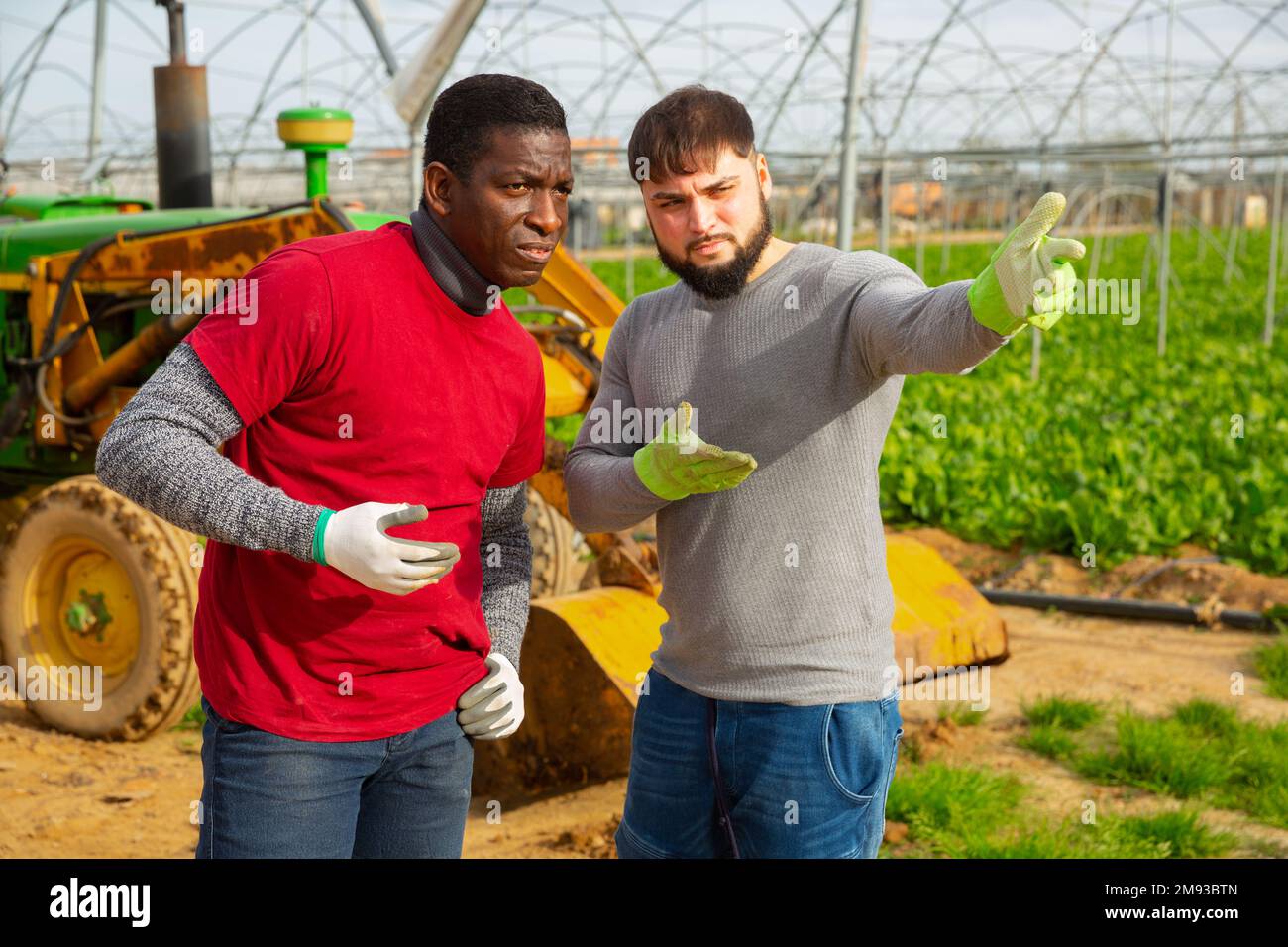 Two farmers discussing Stock Photo - Alamy