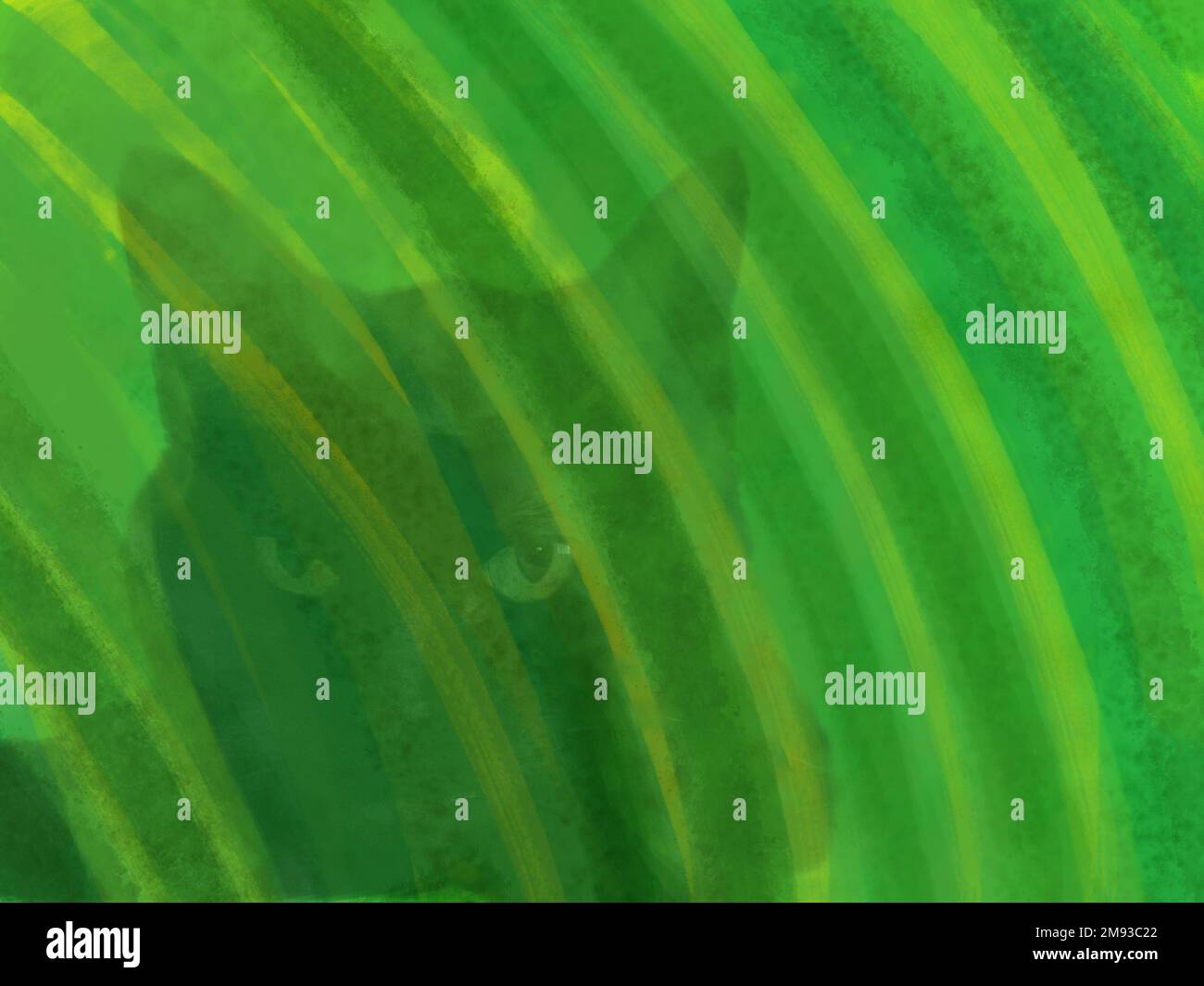 Nonchalant cat hi-res stock photography and images - Alamy