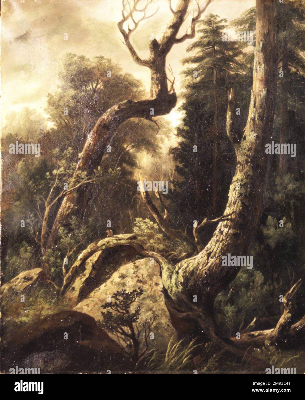 Forest Landscape Formerly attributed to Asher B. Durand (American, 1796 ...