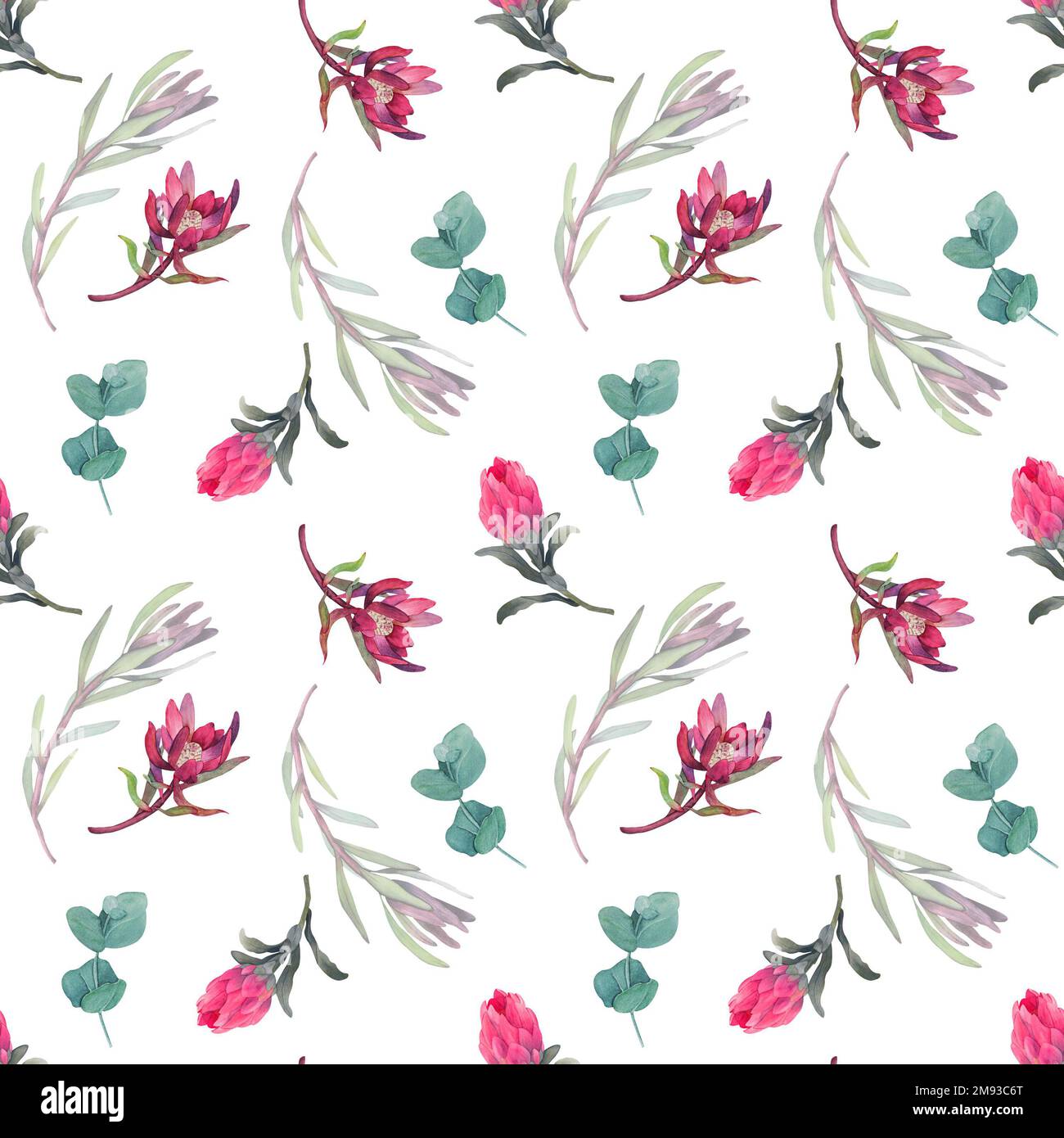 Watercolor seamless pattern with magenta protea, floral background ...