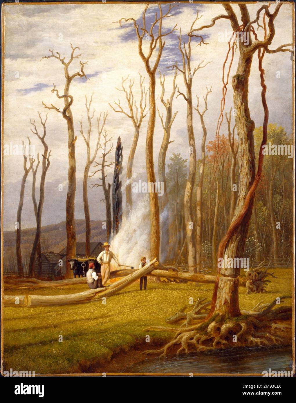 Spring--Burning Trees in a Girdled Clearing, Western Scene George ...