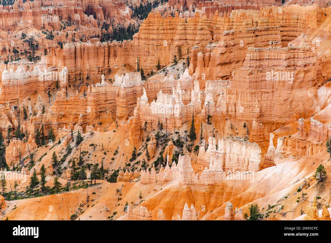 Scenic view of stunning red sandstone hoodoos in Bryce Canyon National ...