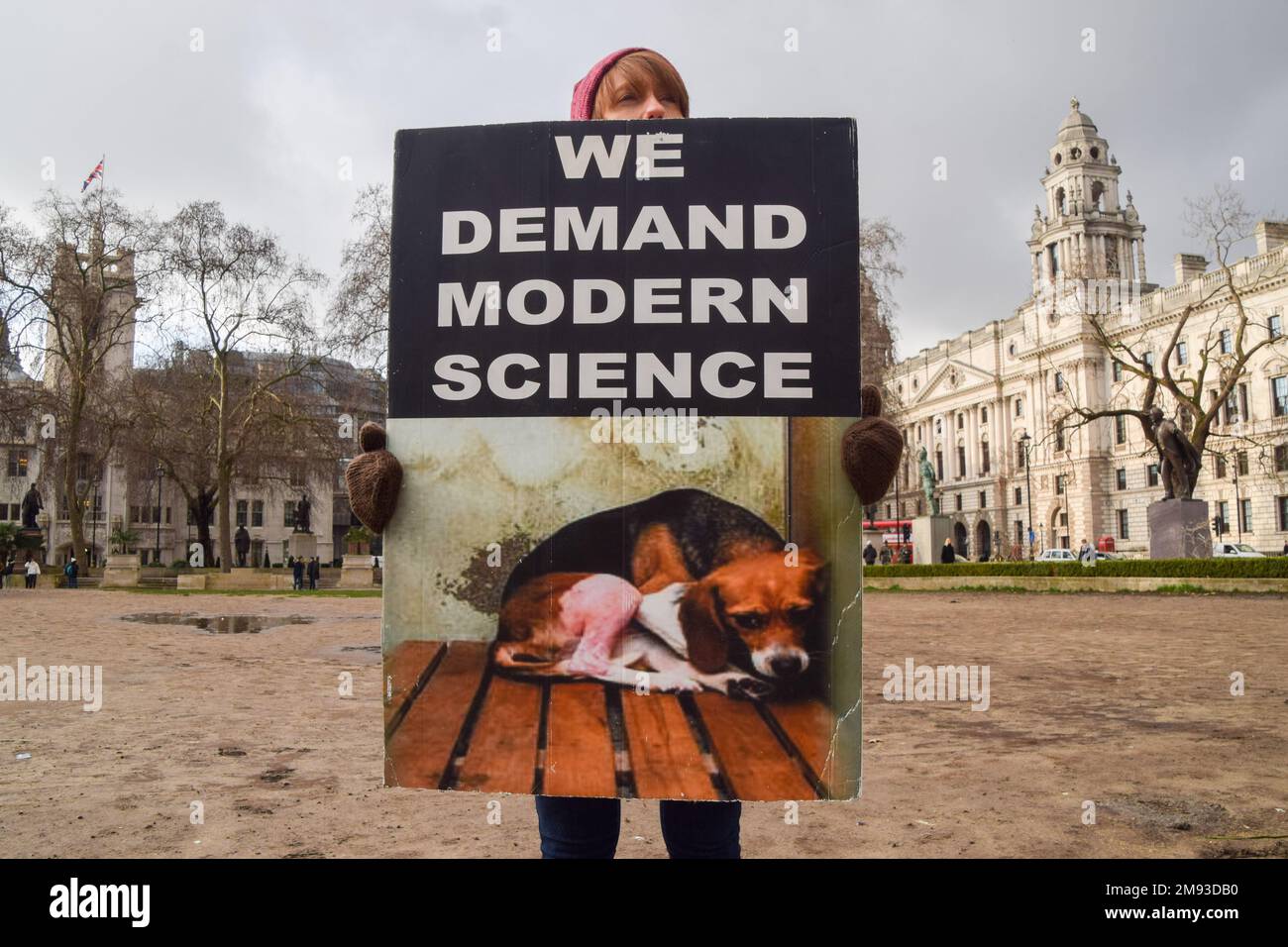 London, England, UK. 16th Jan, 2023. Animal rights activists staged a ...