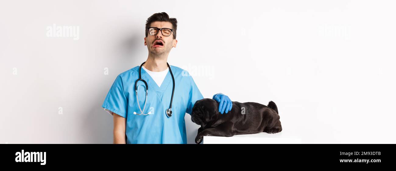 Sad male doctor filling pity for cute black dog pug lying sick on vet ...