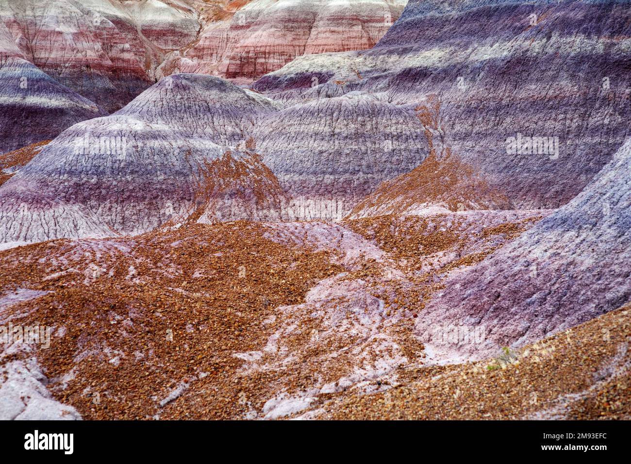 Striped purple sandstone formations of Blue Mesa badlands in Petrified ...