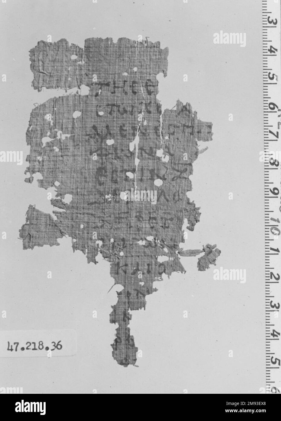 Papyrus production Black and White Stock Photos & Images - Alamy