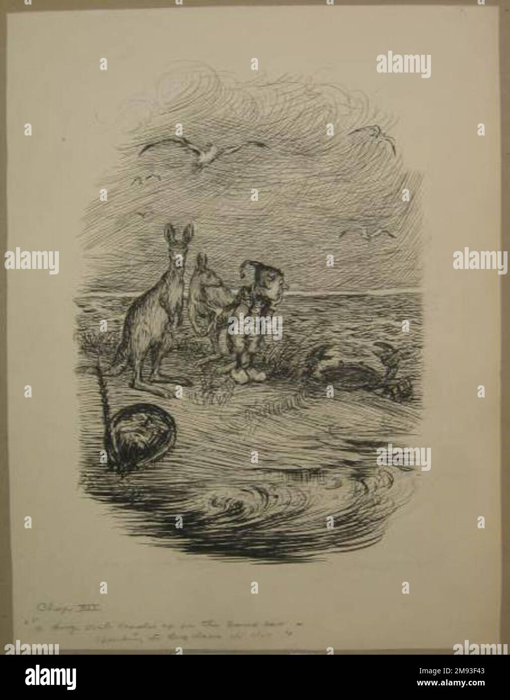 Sheet xii in hi-res stock photography and images - Alamy