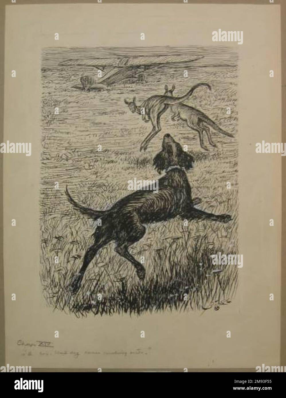 Chapter XIV "The Animal Village," "A Big Black Dog Came Rushing Out ...