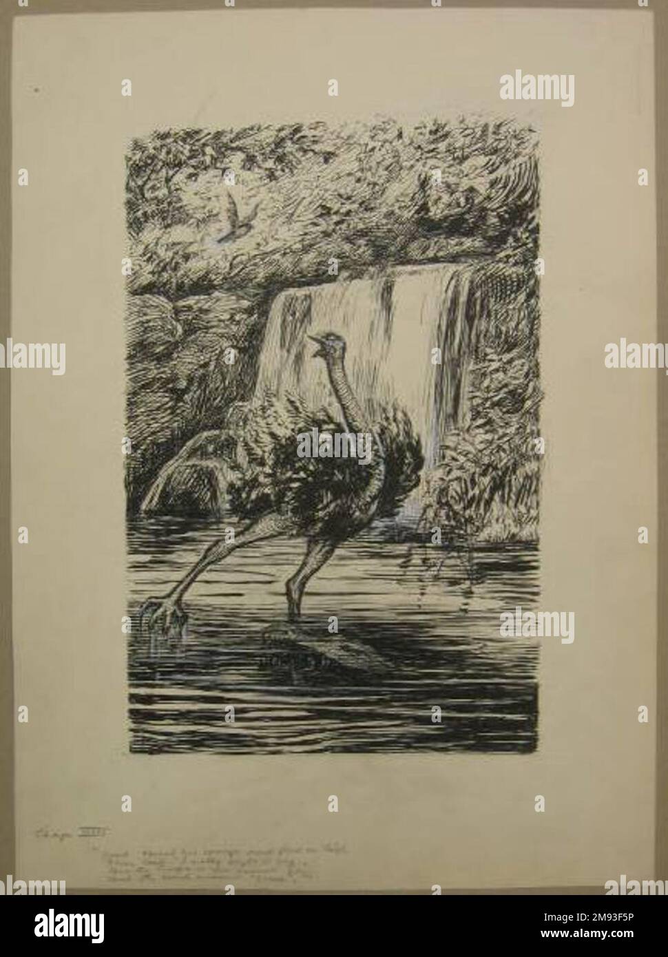 Chapter VIII "The Animal Village," "And Spread His Wings and Flew on ...