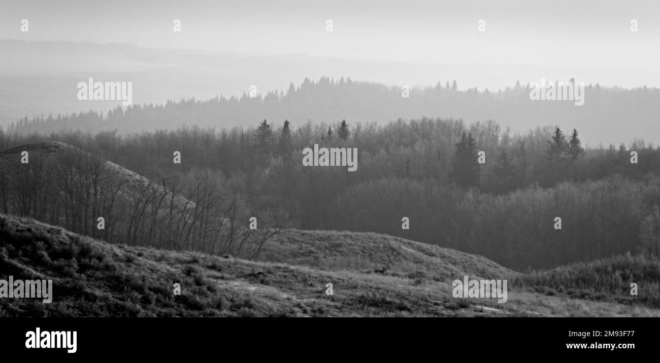 Glenbow Ranch Provincial Park Stock Photo - Alamy