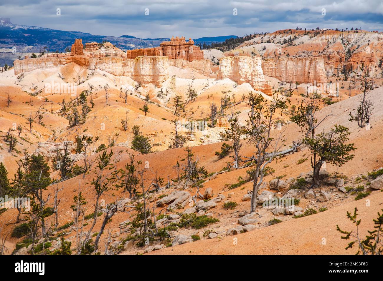 Scenic view of stunning red sandstone hoodoos in Bryce Canyon National ...