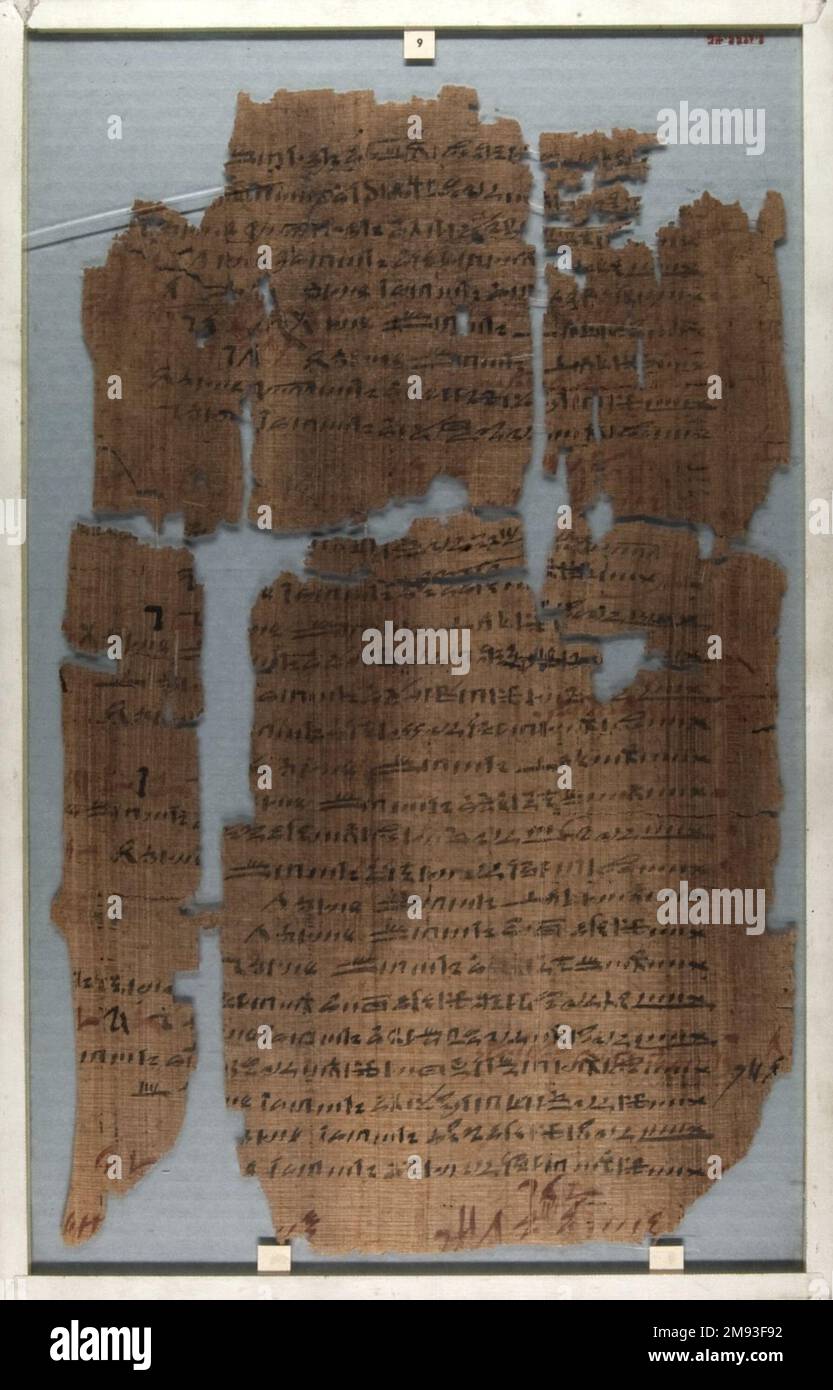 The Wilbour Papyrus The Wilbour Papyrus, ca. 1147 B.C.E. Papyrus, ink ...