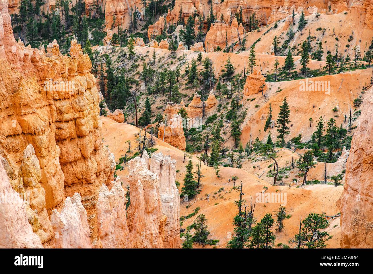 Scenic view of stunning red sandstone hoodoos in Bryce Canyon National ...