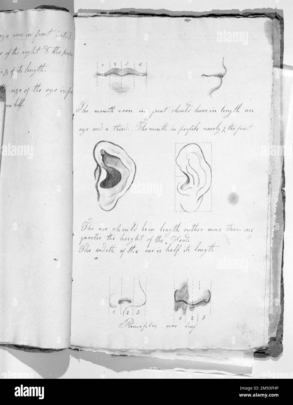 8 5 0 6 cm Black and White Stock Photos & Images - Alamy