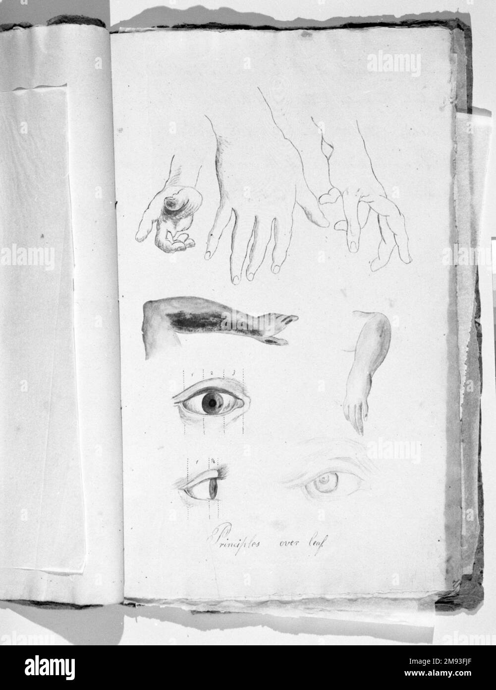 Watercolor practice Black and White Stock Photos & Images - Alamy