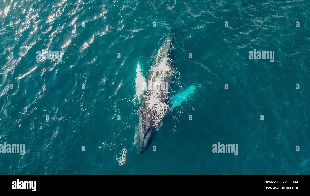 0215 hi-res stock photography and images - Alamy