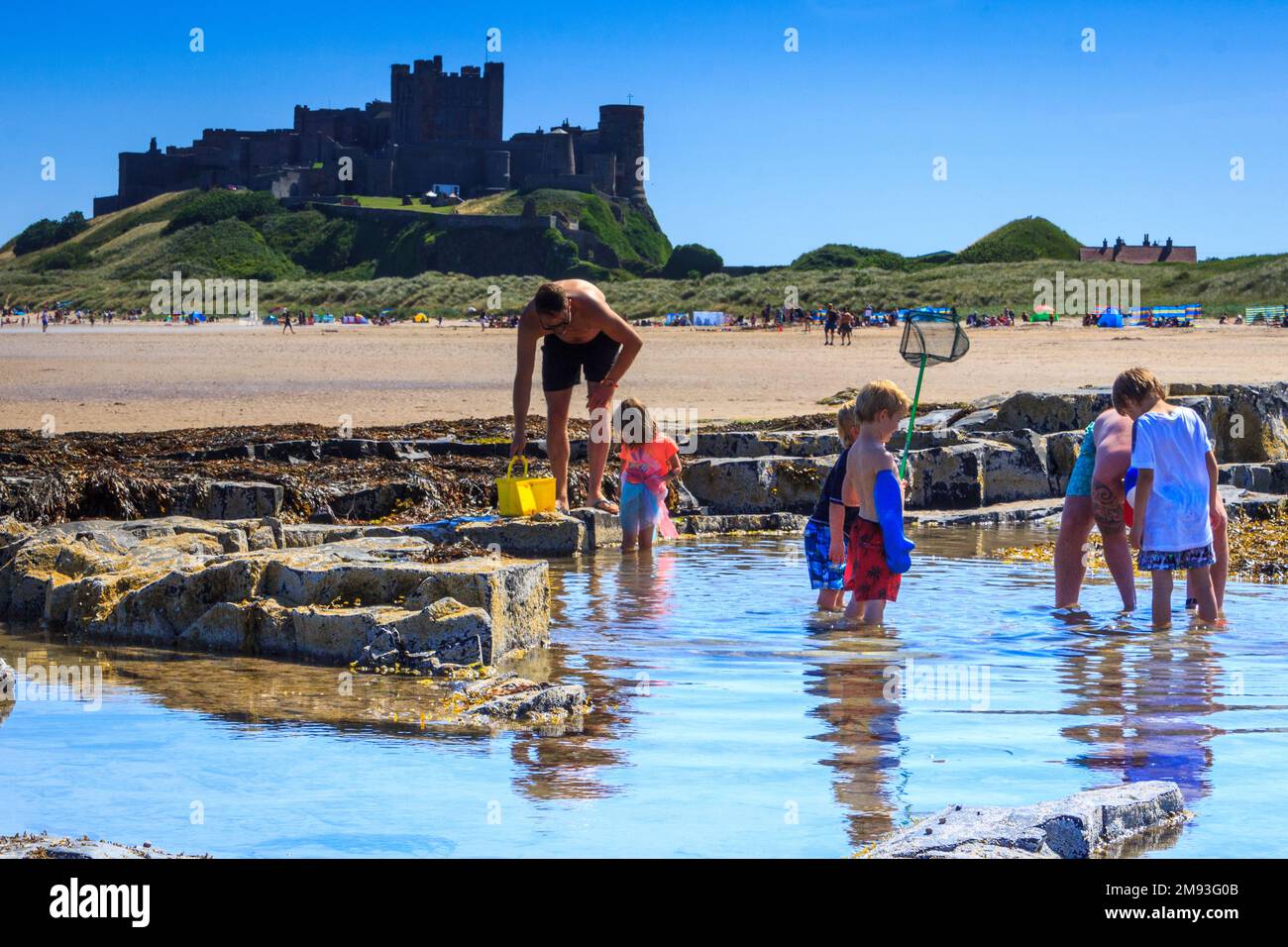 Fathers and children rock pooling at seaside Stock Photo - Alamy