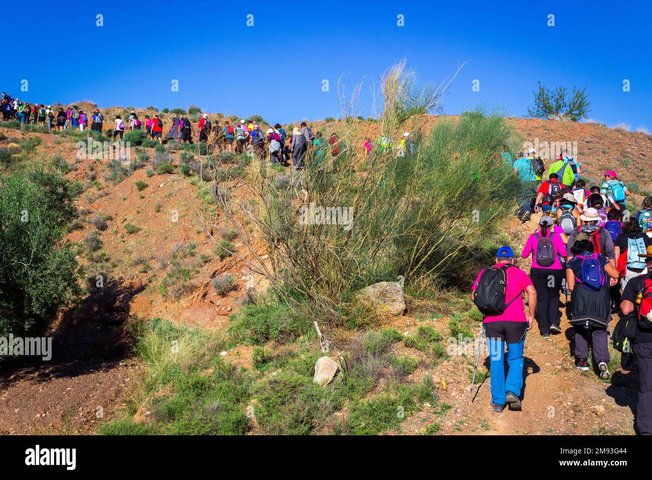 Community walking group Stock Photo - Alamy