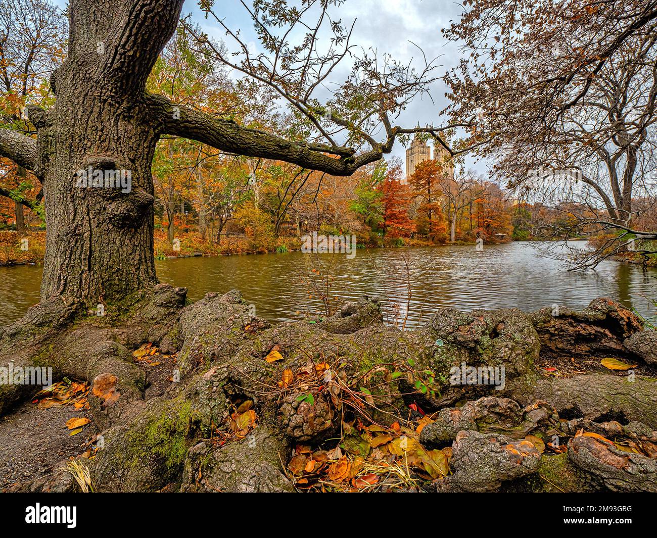 At he lake in Central Park, New York City, Manhattan Stock Photo - Alamy